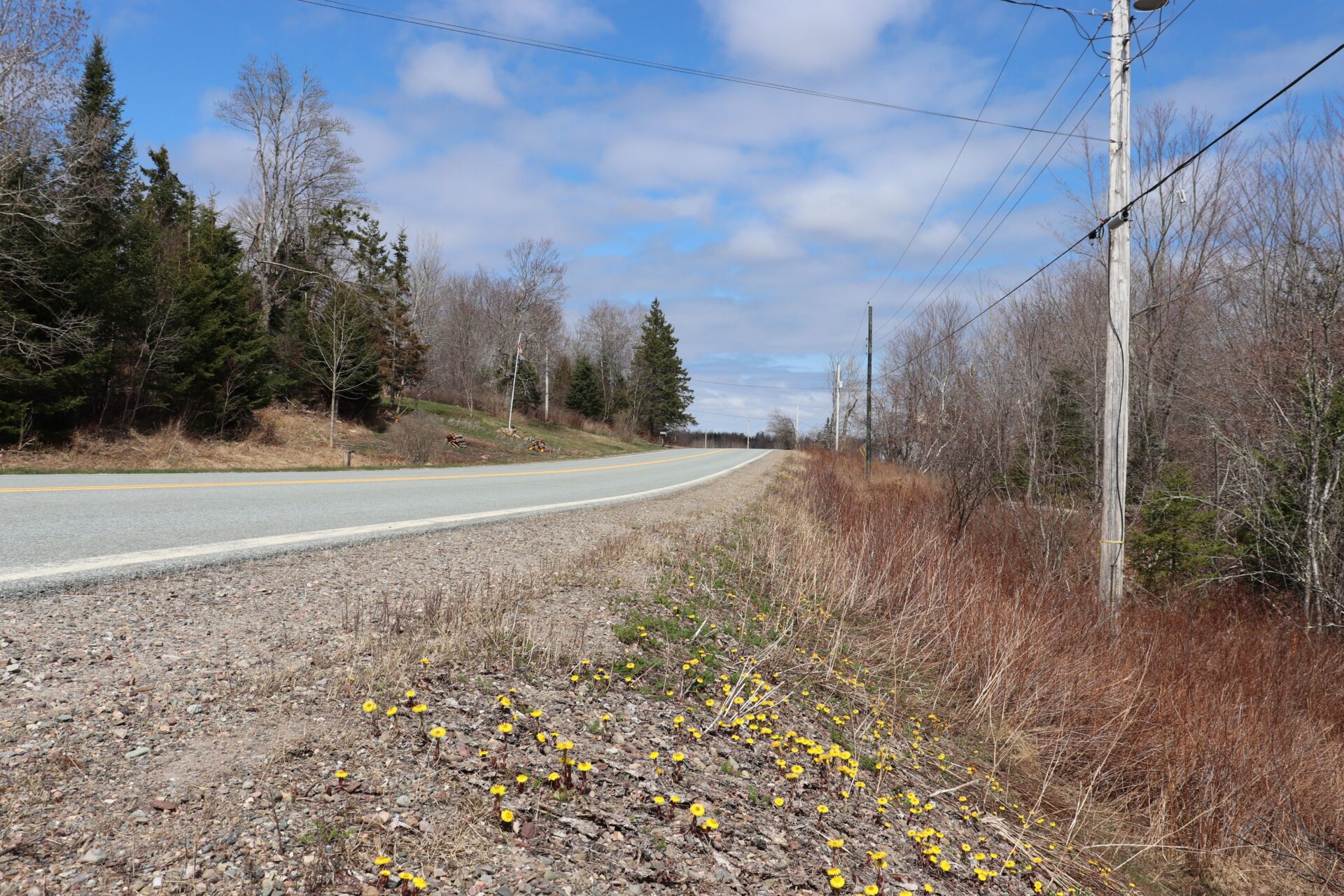 Repatterning: Learning to Stand | Sharon English